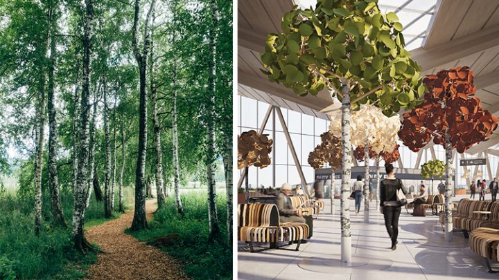 Nature as designer: Biophilic design in modern placemaking - Green ...